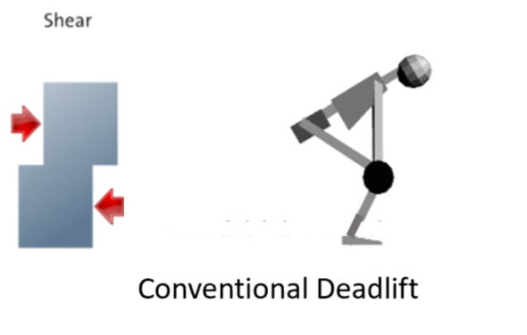 Forces on the Spine – What your back has to deal with – Optimal ...